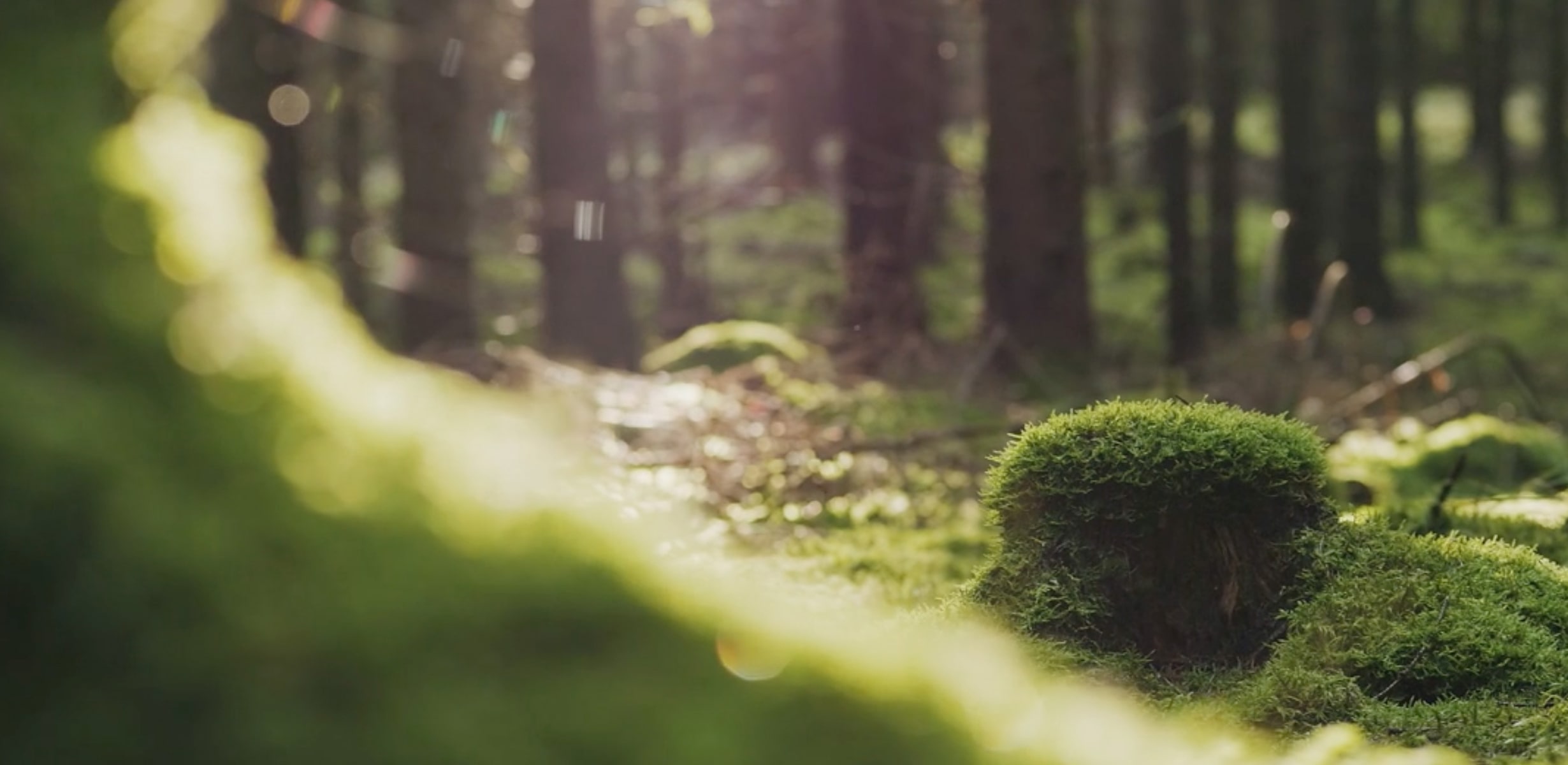 Sustainability at a Glance | Embla Medical