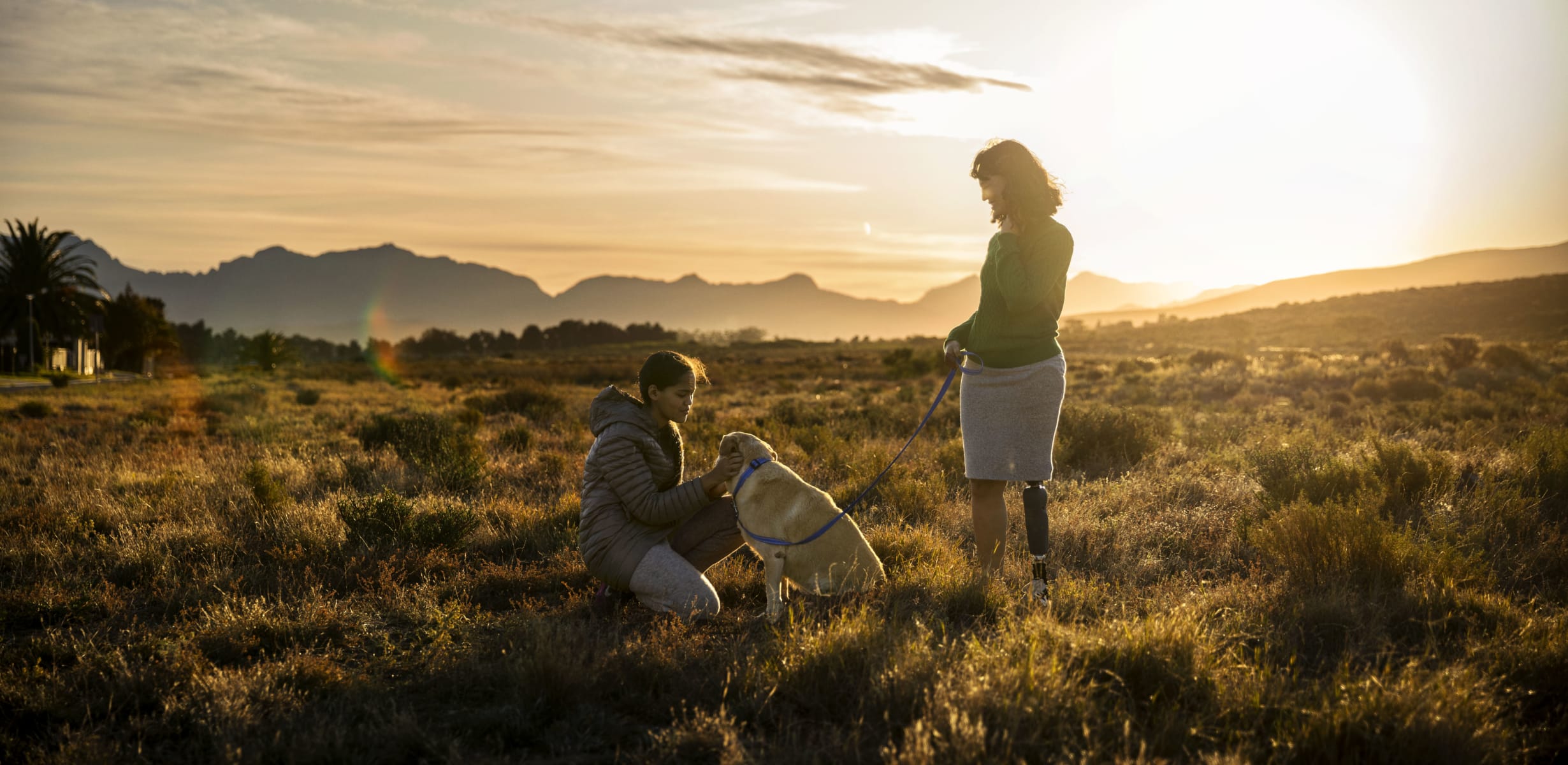 Vilka är de olika delarna i en benprotes? | Proteser från Össur