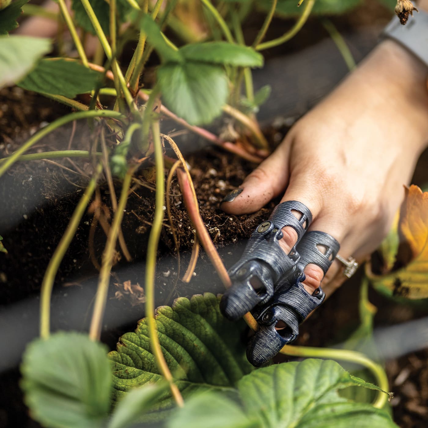 Caras Erfahrungsbericht mit den PIPDrivers